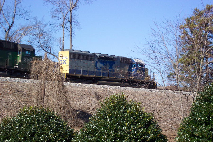 Rail train